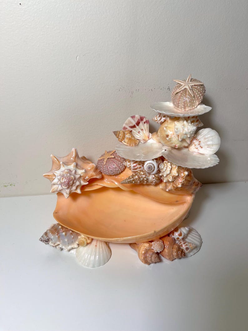 Seashell Jewelry Holder, Jewelry Display, Ocean Aesthetic, Beach ...