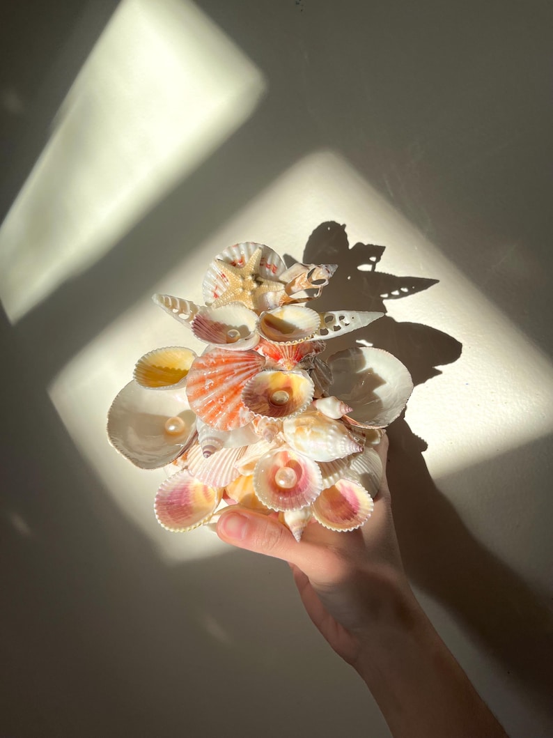 Seashell Jewelry Holder, Jewelry Display, Ocean Aesthetic, Beach ...