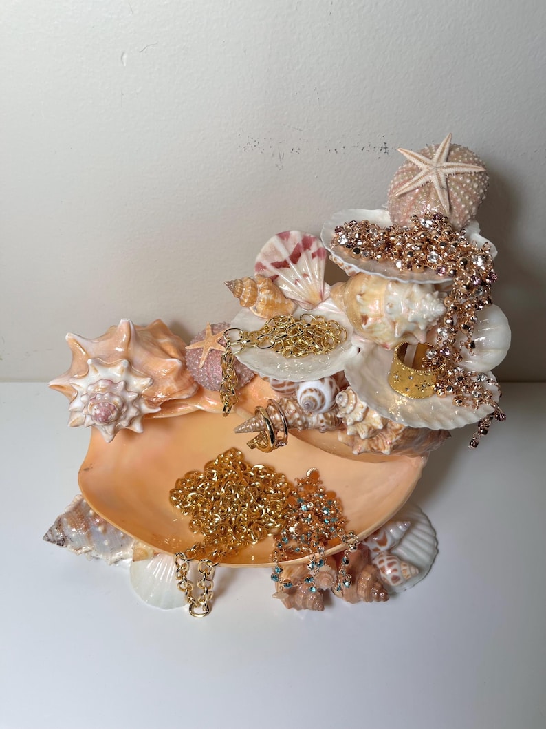 Seashell Jewelry Holder, Jewelry Display, Ocean Aesthetic, Beach ...