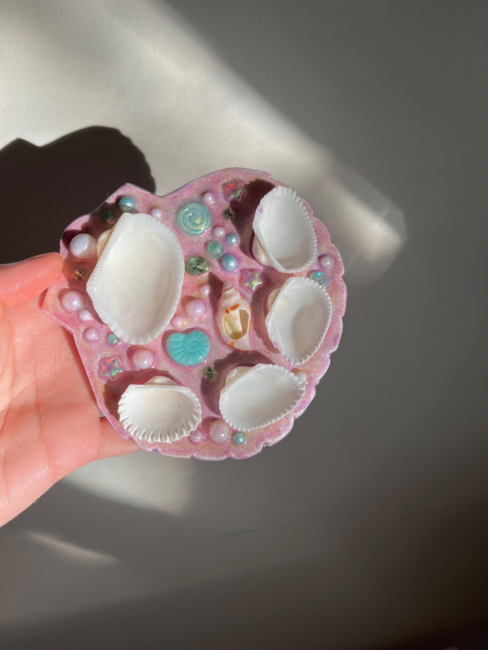 Seashell Paint Palette, Ocean Aesthetic, Beach Aesthetic, Genuine ...
