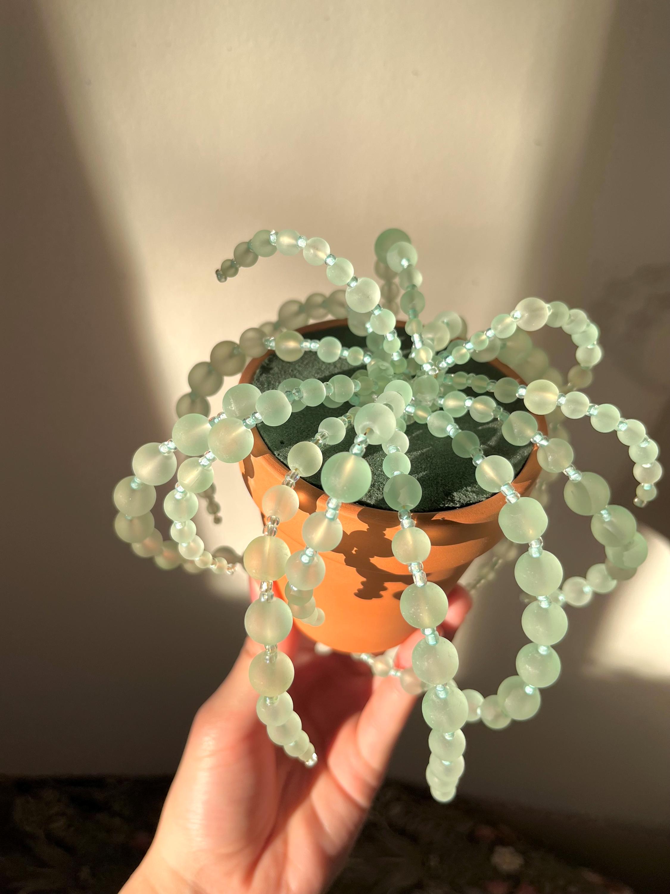 Beaded Plant String of Pearls, Forever Succulent, Plant Decor - Etsy