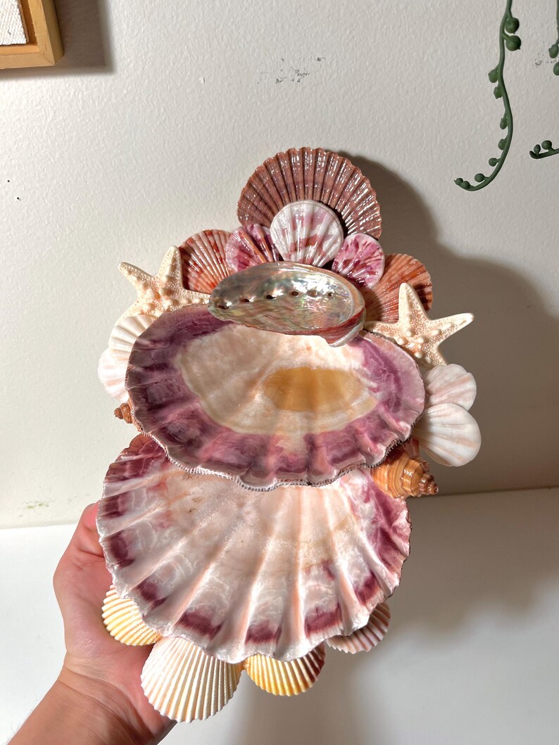 Seashell Jewelry Holder, Jewelry Display, Ocean Aesthetic, Beach ...