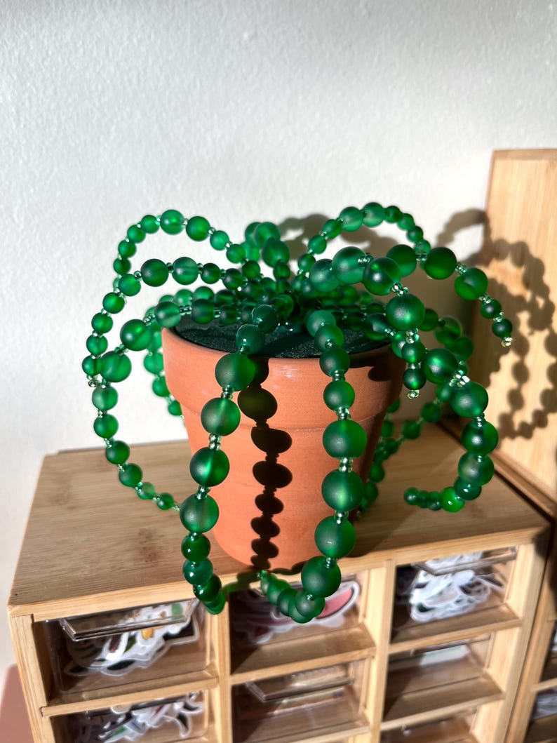 Beaded Plant String of Pearls, Forever Succulent, Plant Decor - Etsy