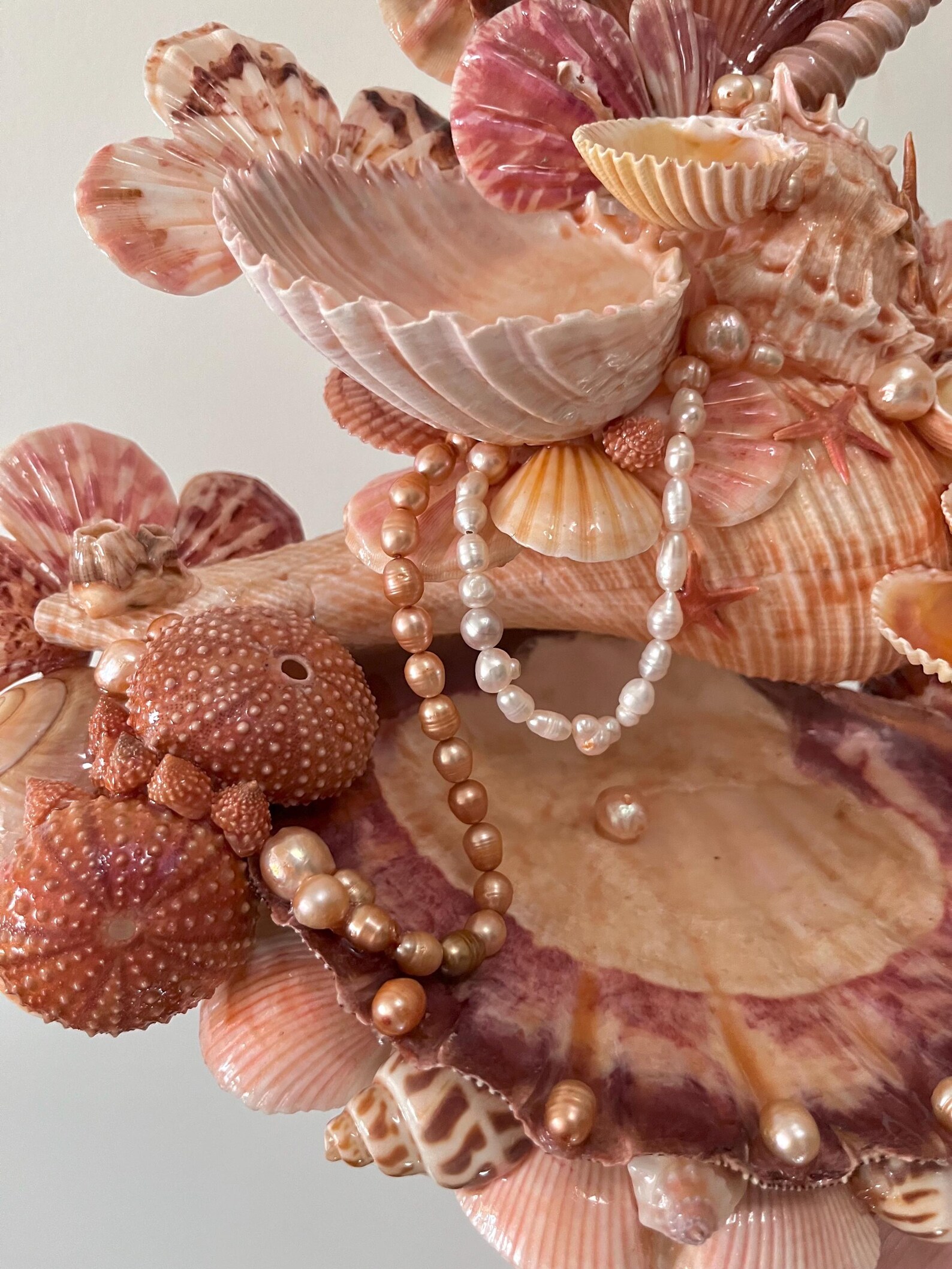 Seashell Jewelry Holder, Jewelry Display, Ocean Aesthetic, Beach ...