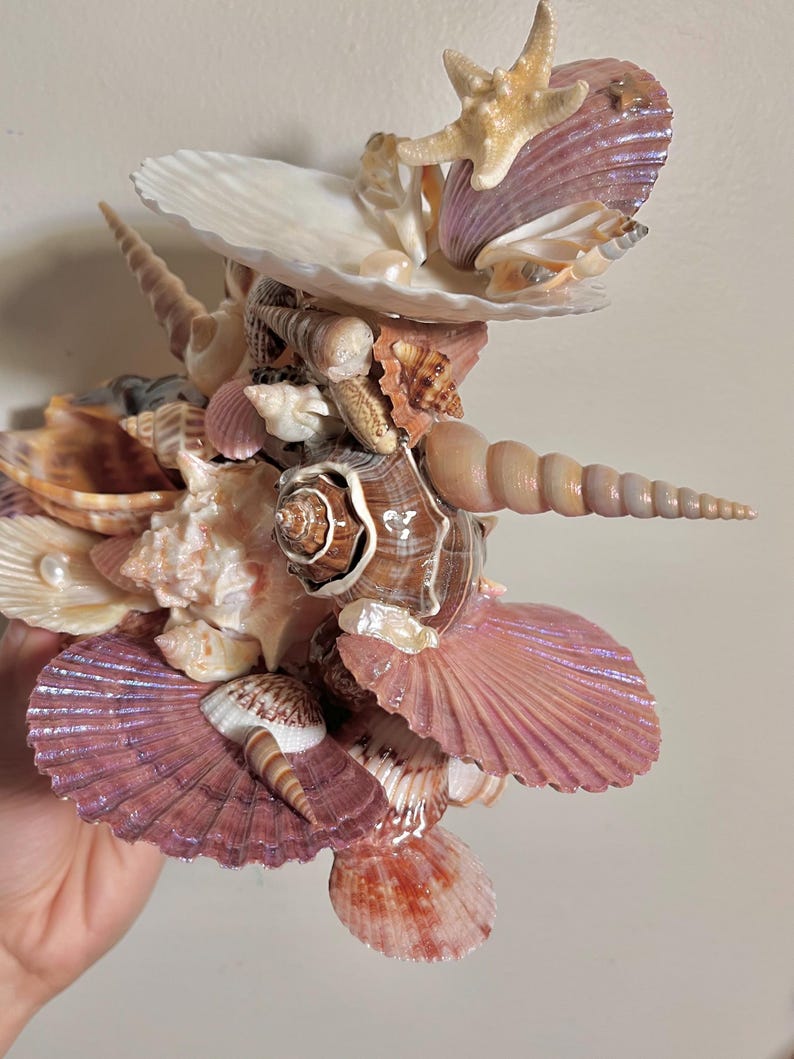 Seashell Jewelry Holder, Jewelry Display, Ocean Aesthetic, Beach ...