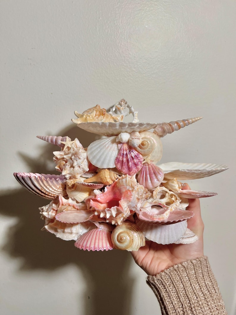 Seashell Jewelry Holder, Jewelry Display, Ocean Aesthetic, Beach ...