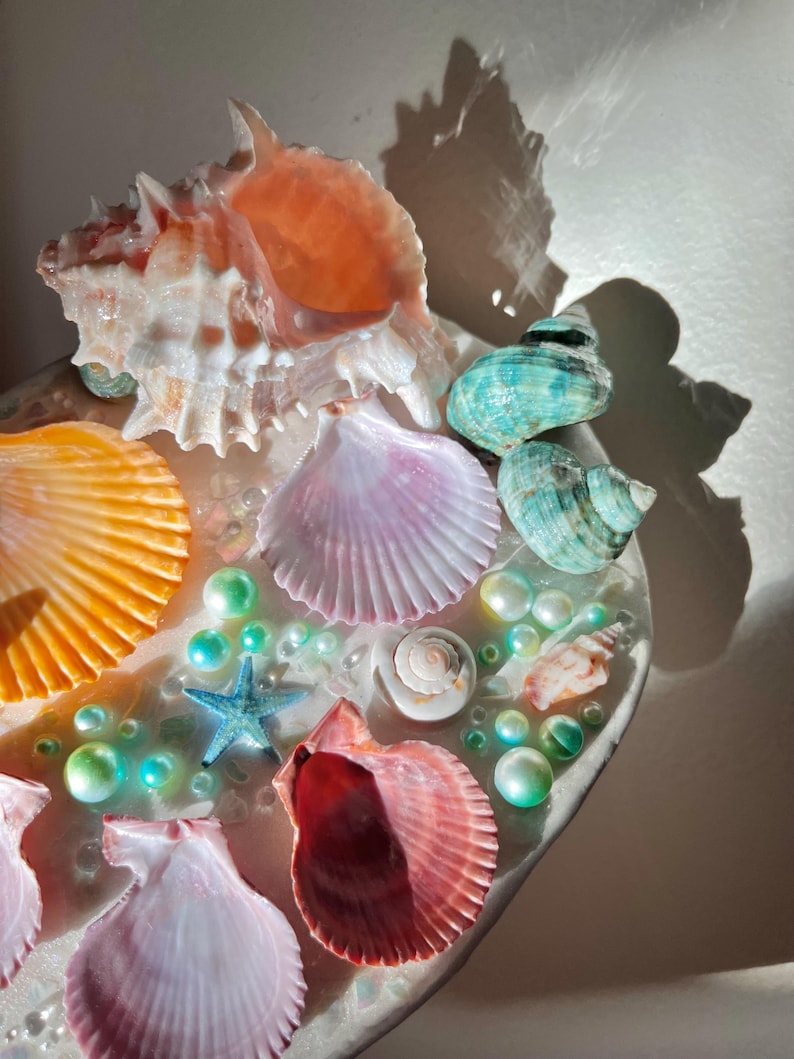 Seashell Paint Palette, Ocean Aesthetic, Beach Aesthetic, Genuine ...