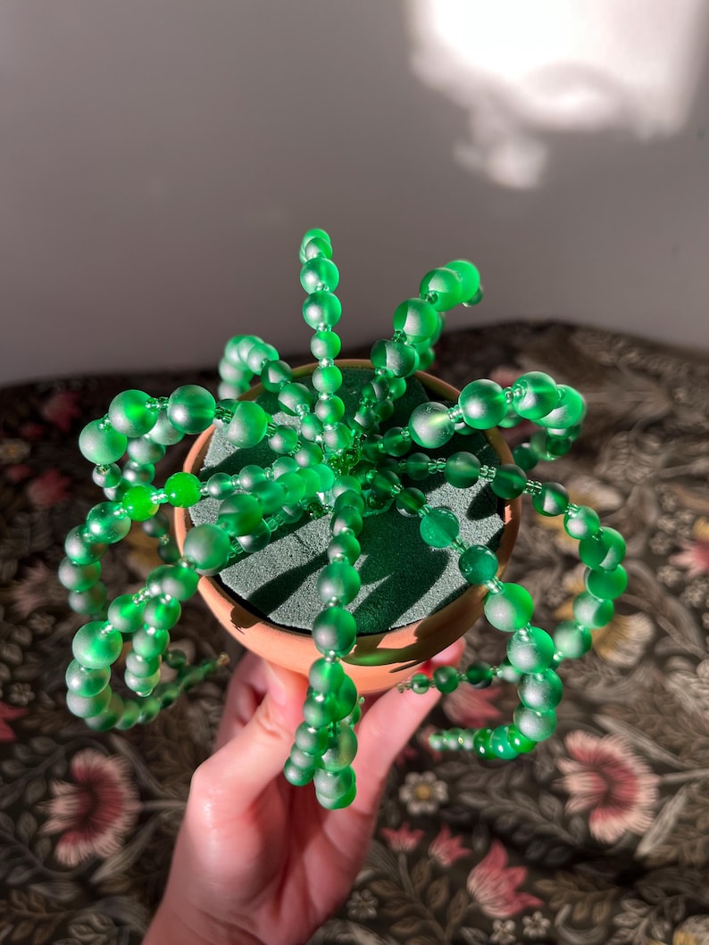 Beaded Plant String of Pearls, Forever Succulent, Plant Decor - Etsy