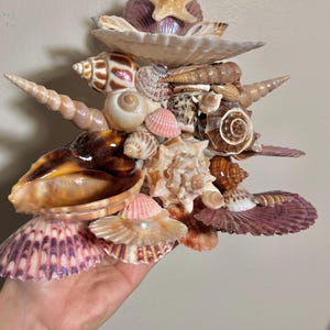 Seashell Jewelry Holder, Jewelry Display, Ocean Aesthetic, Beach ...