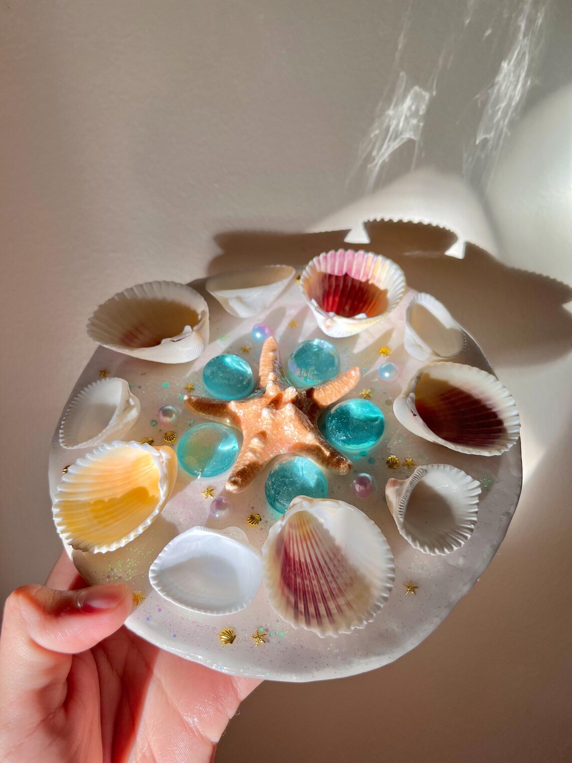 Seashell Paint Palette, Ocean Aesthetic, Beach Aesthetic, Genuine ...