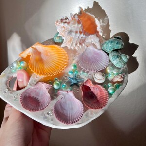 Seashell Paint Palette, Ocean Aesthetic, Beach Aesthetic, Genuine ...