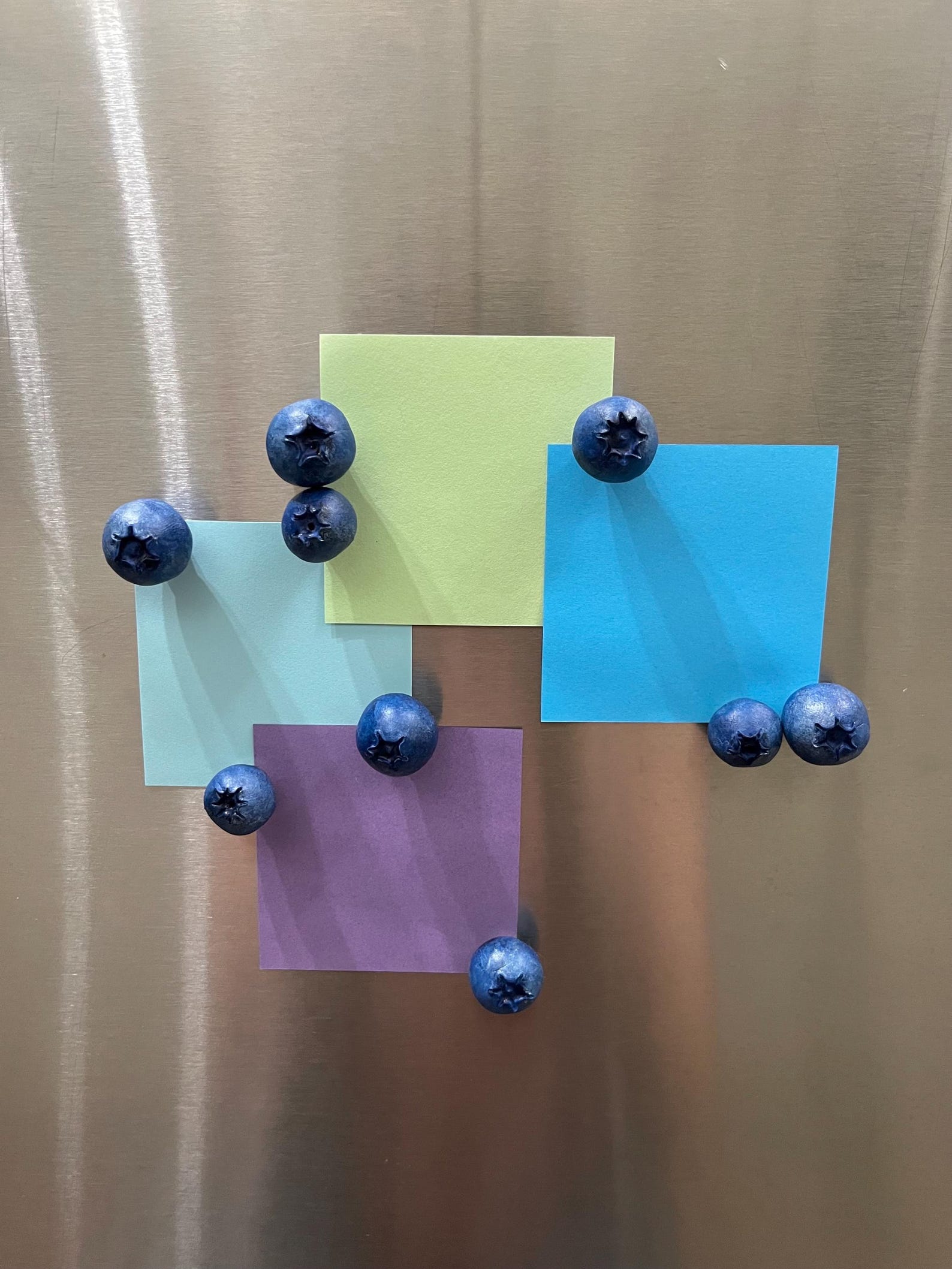 Blueberry Magnet, 3D Magnets, Fridge Magnets, Handmade, Gift for Home ...