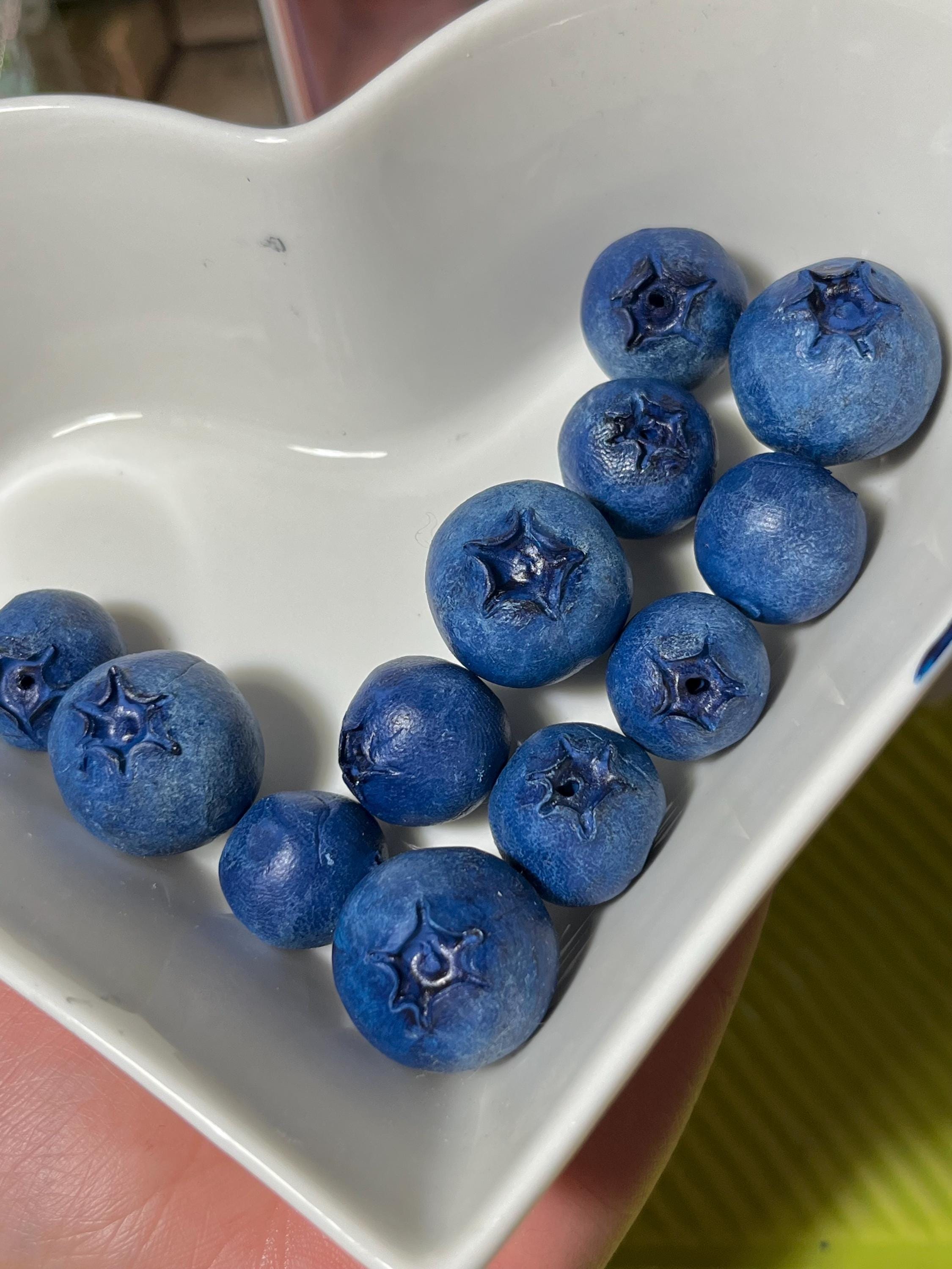 Blueberry Magnet, 3D Magnets, Fridge Magnets, Handmade, Gift for Home ...