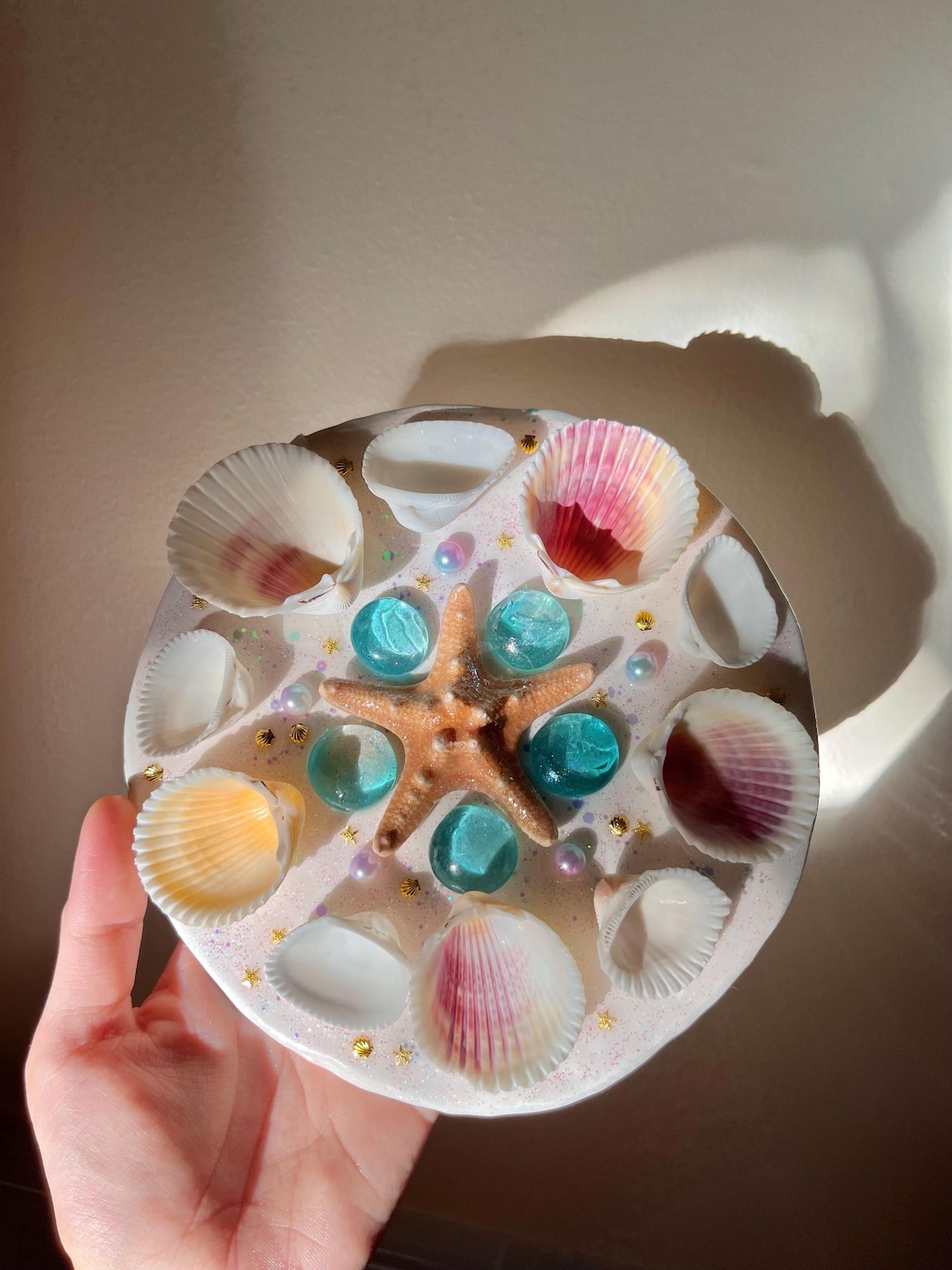 Seashell Paint Palette, Ocean Aesthetic, Beach Aesthetic, Genuine ...