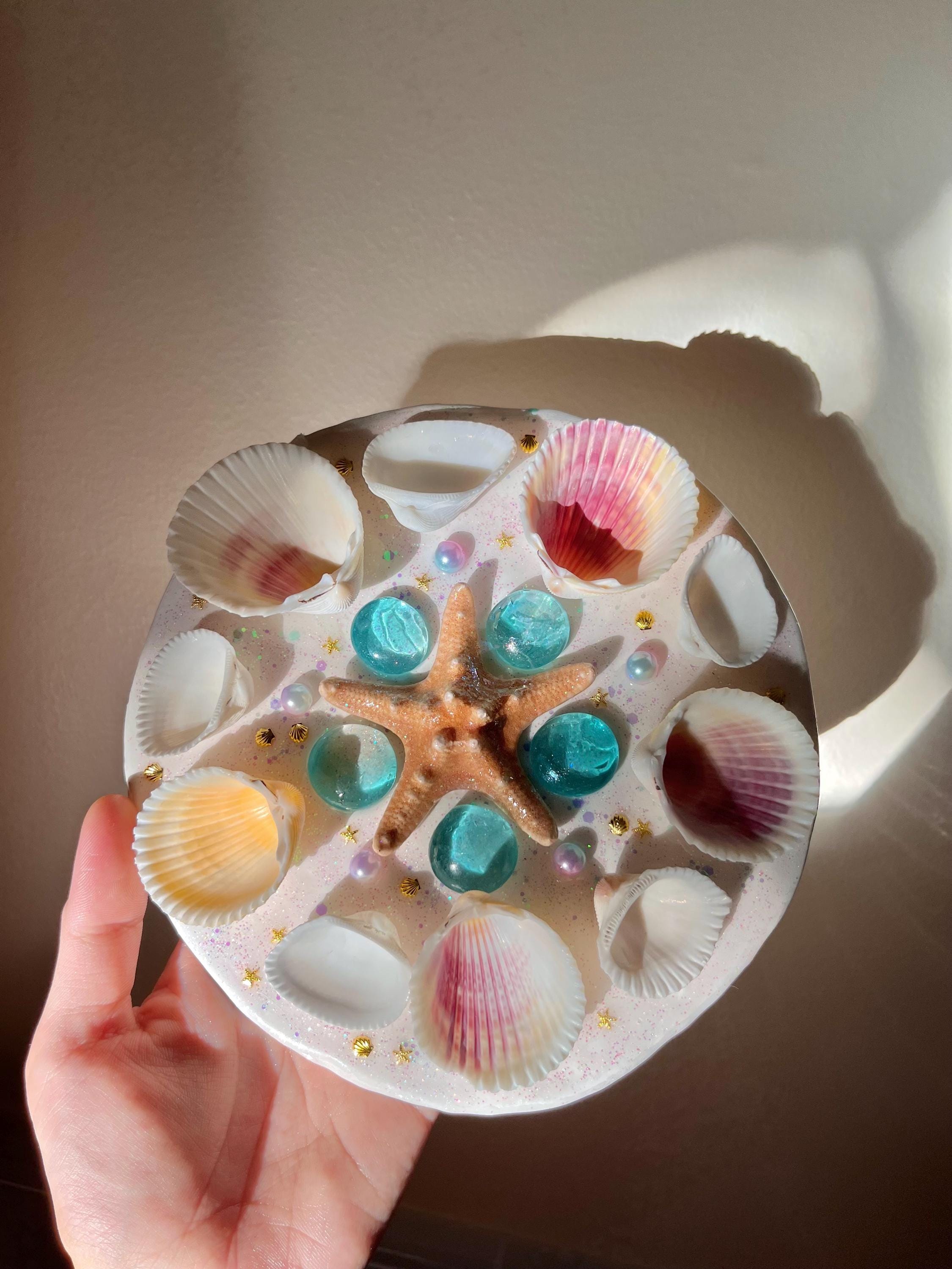Seashell Paint Palette, Ocean Aesthetic, Beach Aesthetic, Genuine ...