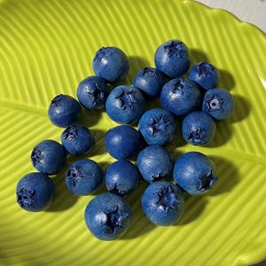 Blueberry Magnet, 3D Magnets, Fridge Magnets, Handmade, Gift for Home ...