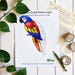 Scarlet Macaw Stained Glass Pattern Digital Download, Red Parrot Faux ...