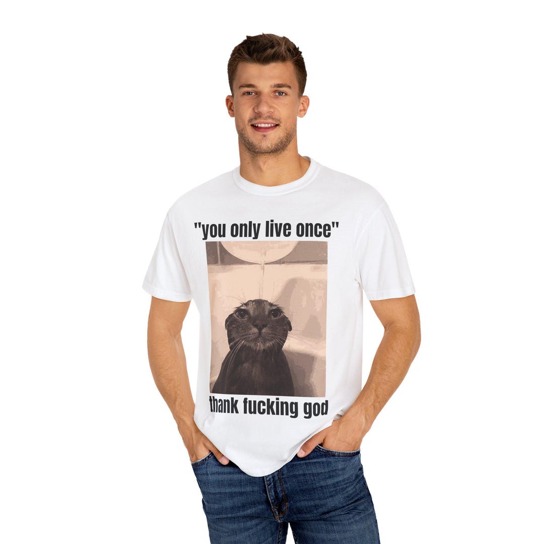 Comfort Colors Cat Meme Shirt, Funny Cat Meme Oversized Shirt, Plus ...