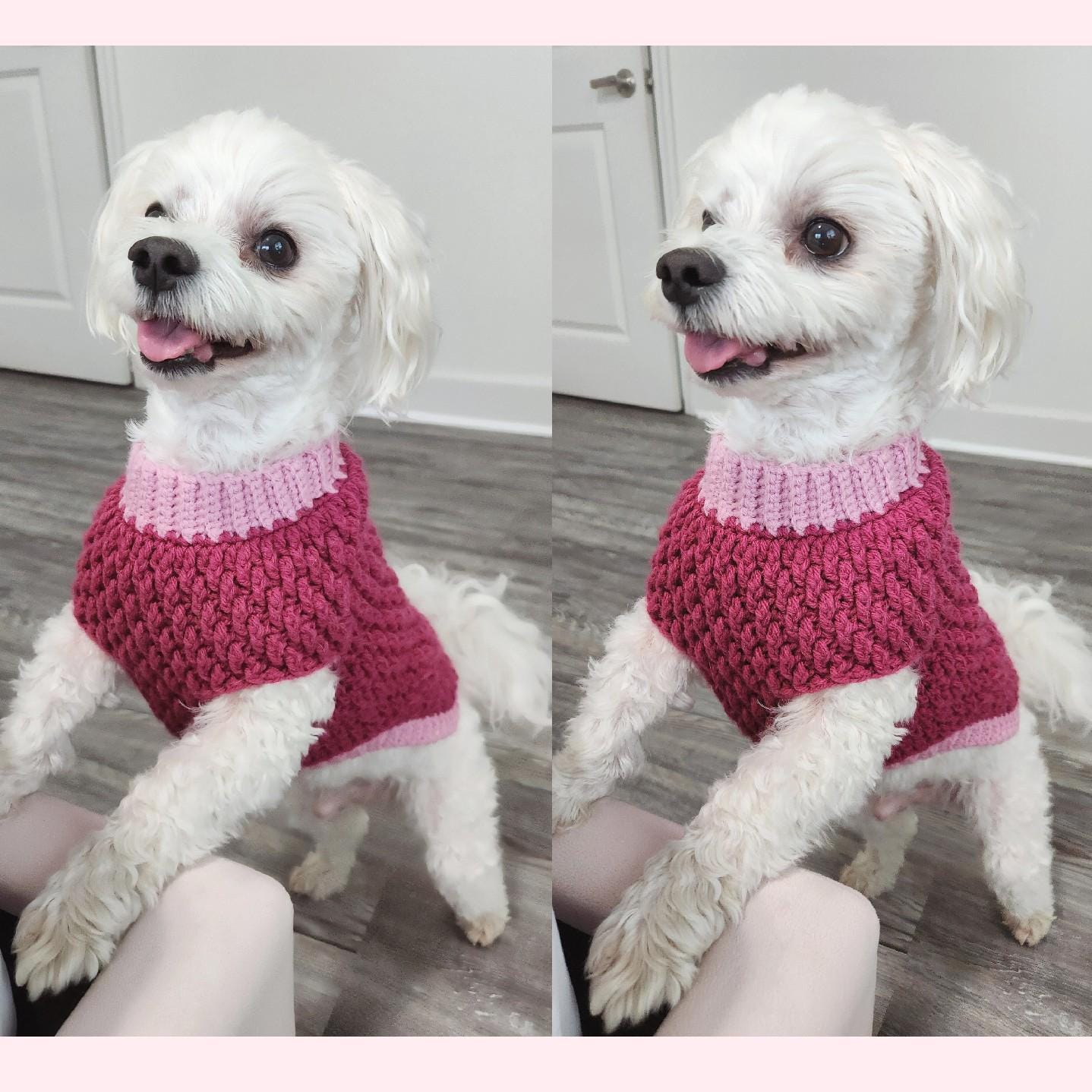 Dog Sweater Crochet Pattern - Etsy