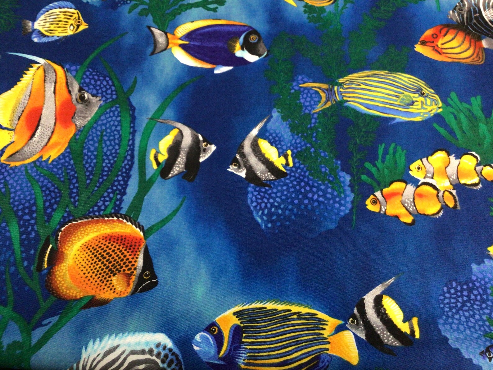 Tropical Fish Fabric,ocean Life,island Sanctuary D 7487,robert Kaufman ...