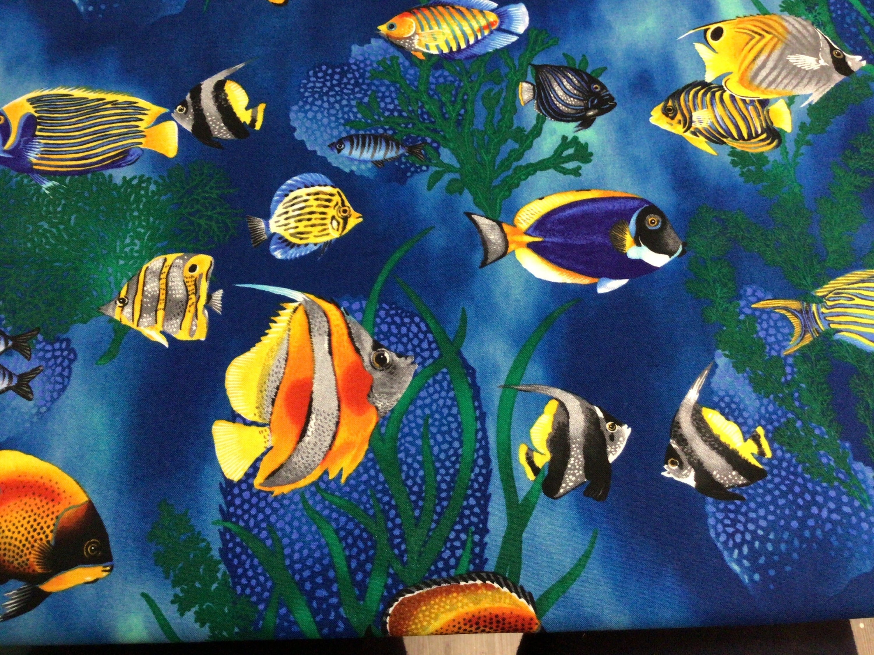 Tropical Fish Fabric,ocean Life,island Sanctuary D 7487,robert Kaufman ...