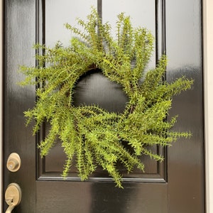 Springeri Fern Wreath, Spring Wreaths, Summer Wreaths, Year Round ...