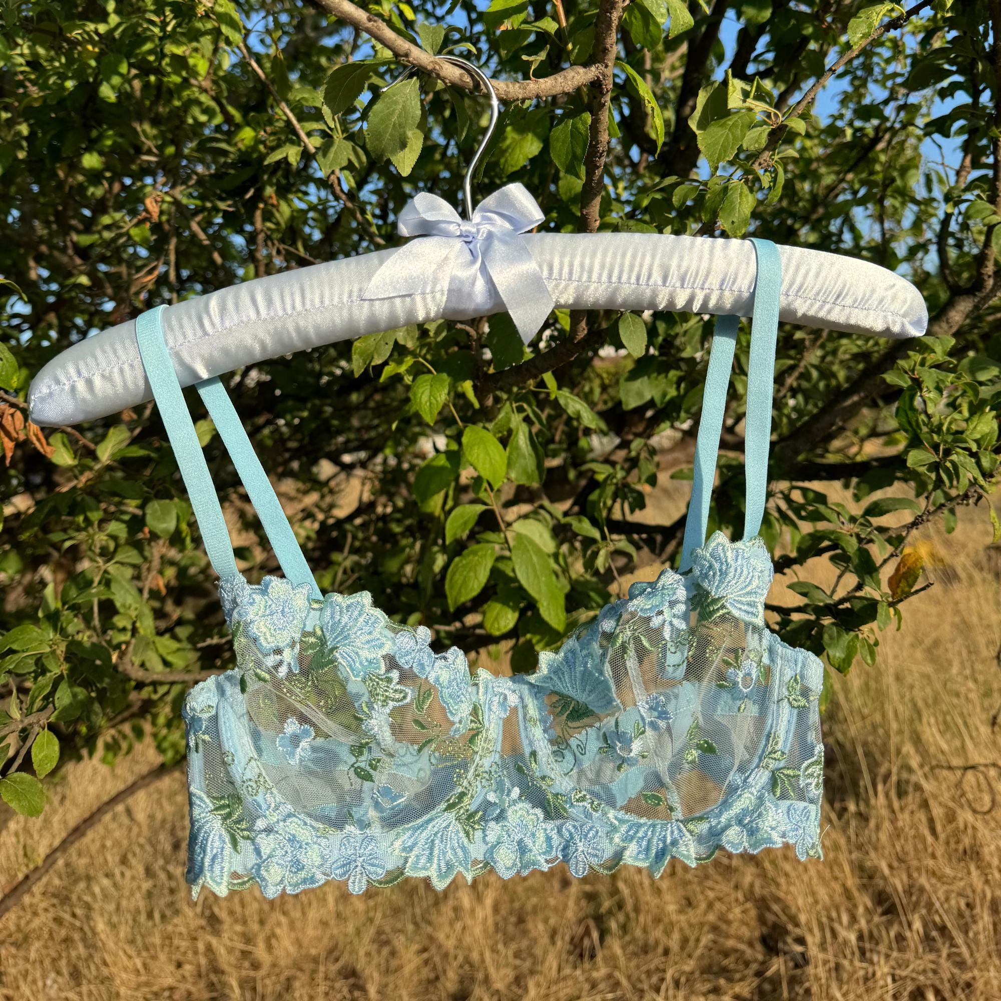 Blue Mesh Bra and Thong Lingerie Set, Soft Pink Mesh Bra Lingerie Set ...