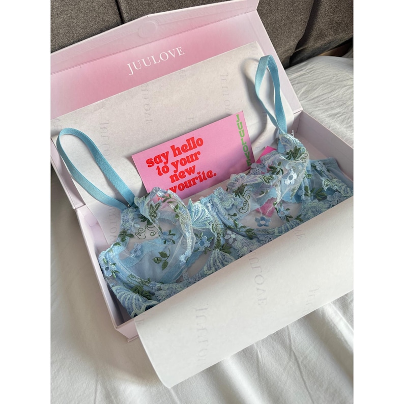 Blue Mesh Bra and Thong Lingerie Set, Soft Pink Mesh Bra Lingerie Set ...