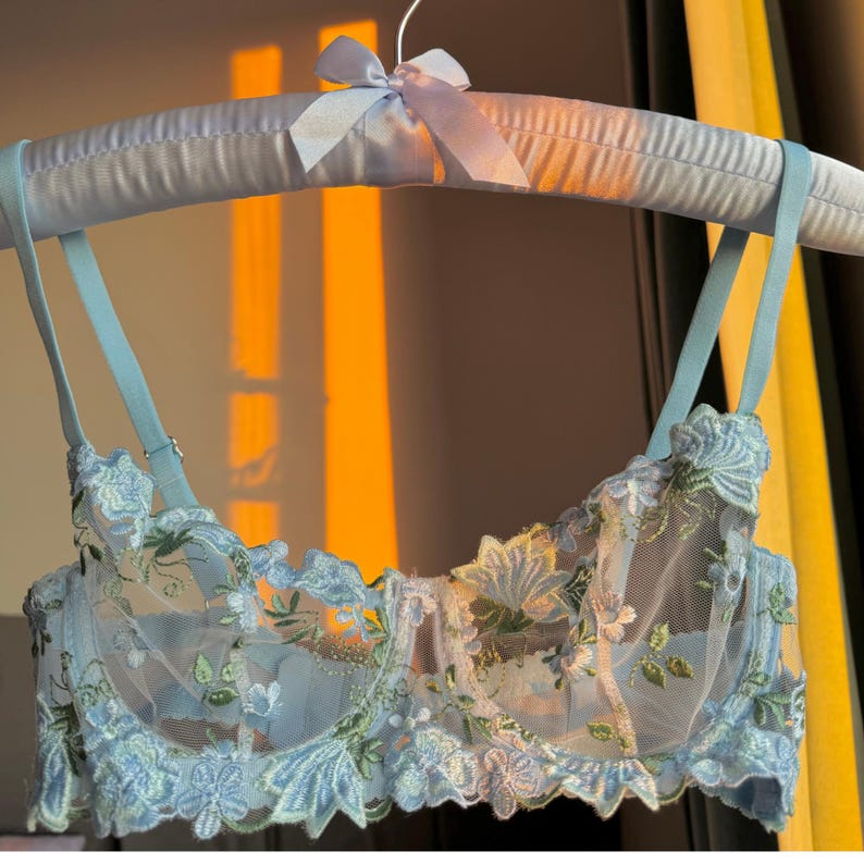 Blue Mesh Bra and Thong Lingerie Set, Soft Pink Mesh Bra Lingerie Set ...