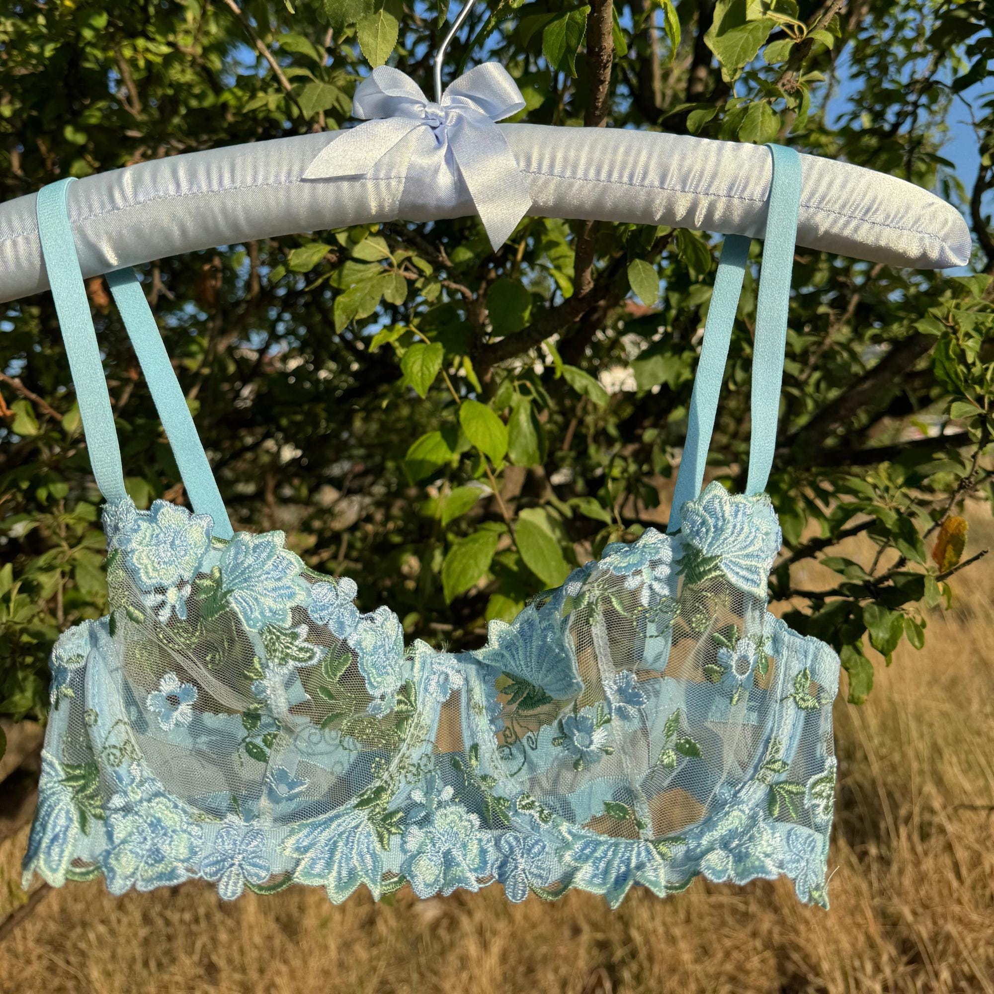 Blue Mesh Bra and Thong Lingerie Set, Soft Pink Mesh Bra Lingerie Set ...