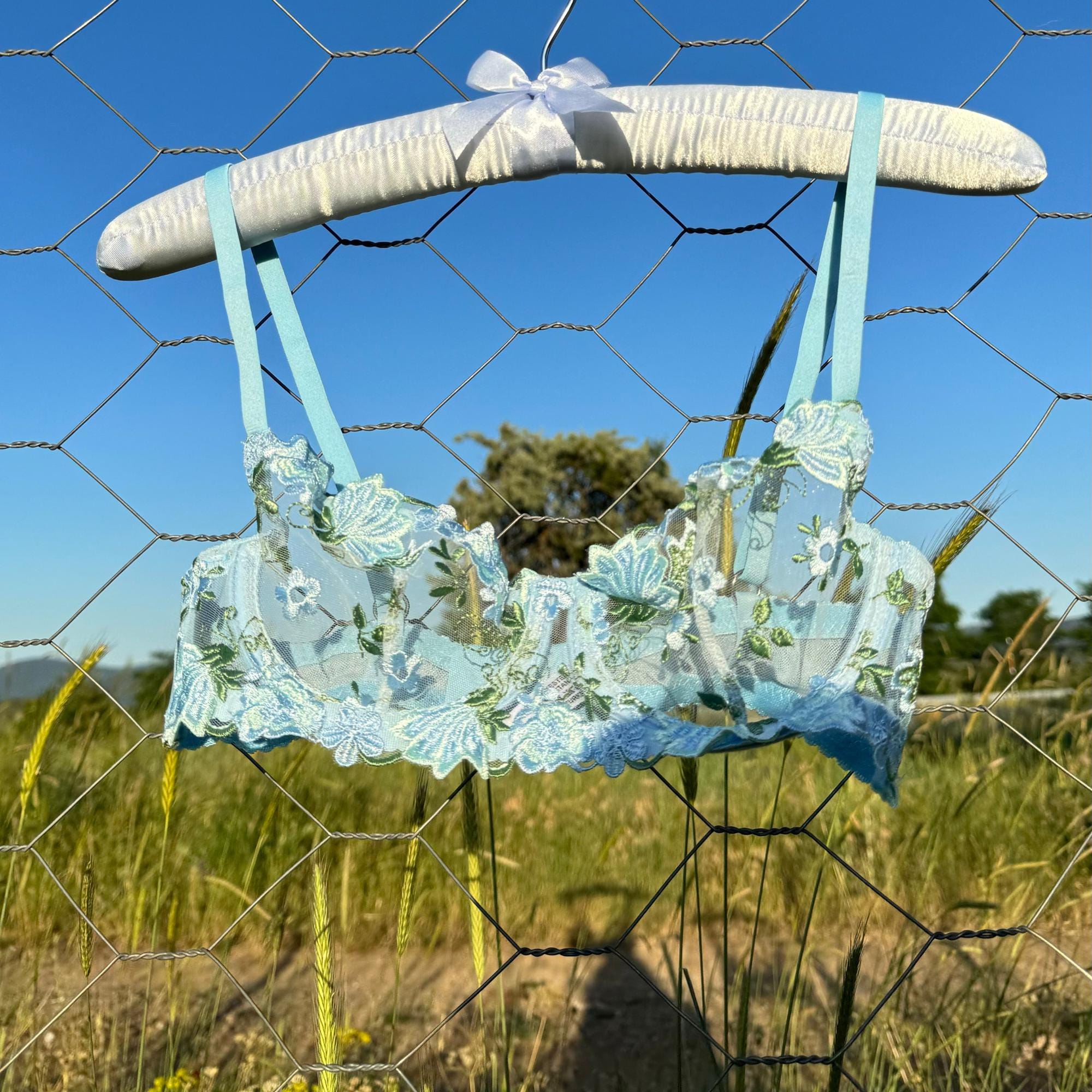 Blue Mesh Bra and Thong Lingerie Set, Soft Pink Mesh Bra Lingerie Set ...