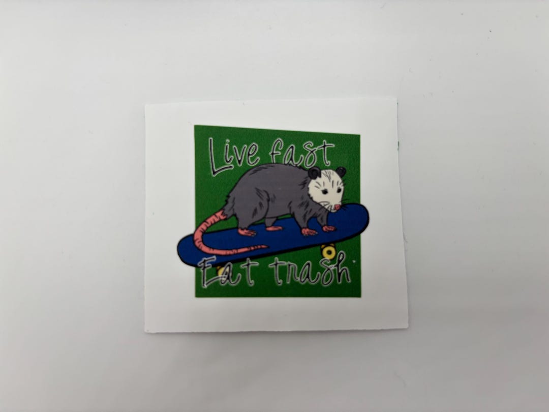 Possum "live Fast, Eat Trash" Sticker - Etsy