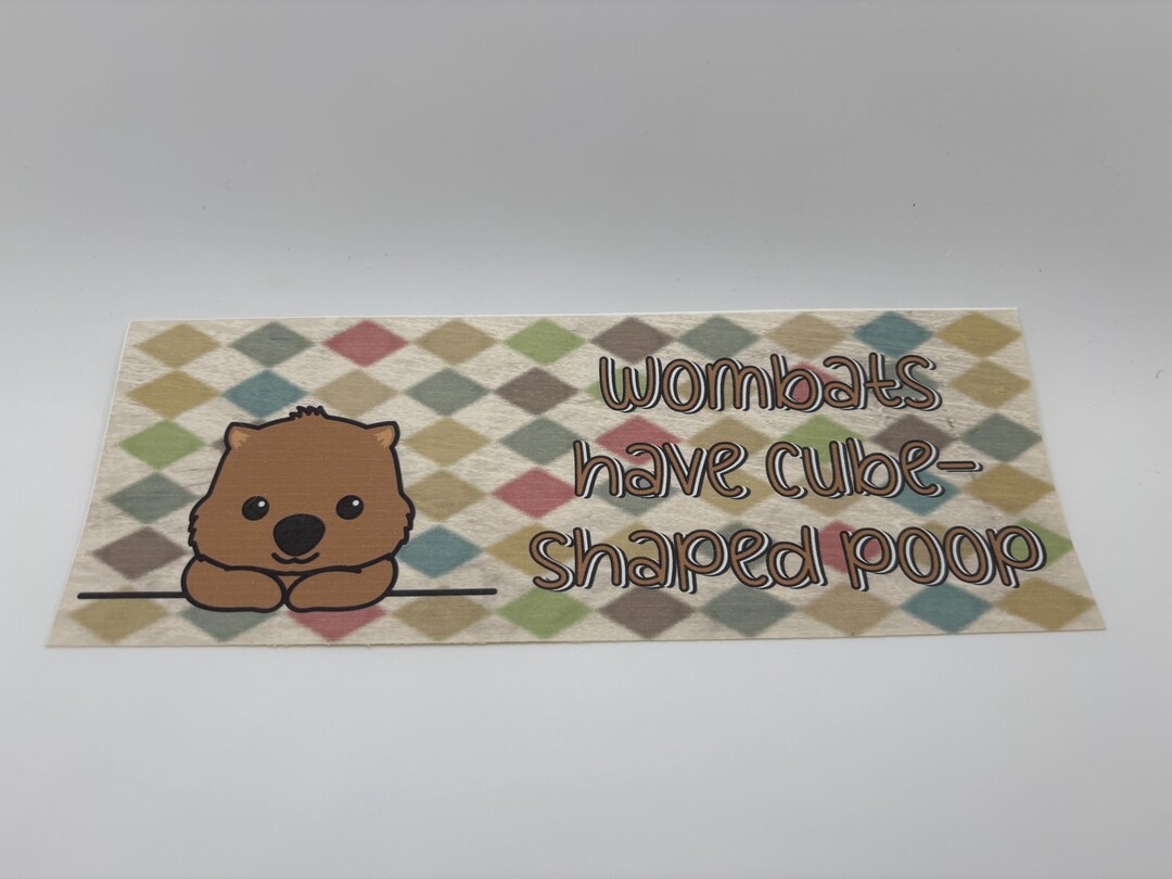 Bumper Sticker: Wombats Have Cube-shaped Poop - Etsy