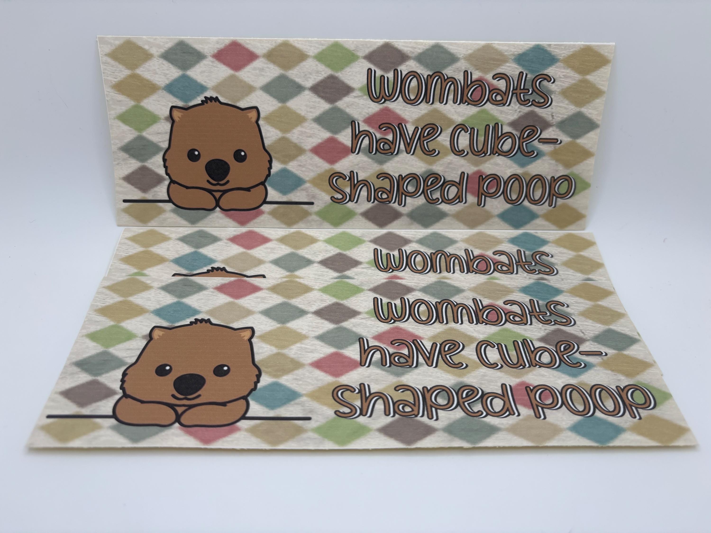 Bumper Sticker: Wombats Have Cube-shaped Poop - Etsy