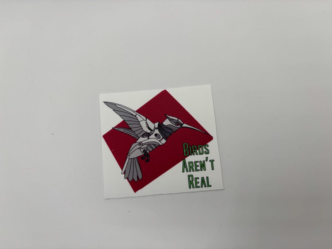 Birds Aren't Real Sticker - Etsy