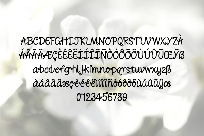 Primrose Font Handwritten Script Font for Creative Projects Playful and Whimsical Typeface - Etsy