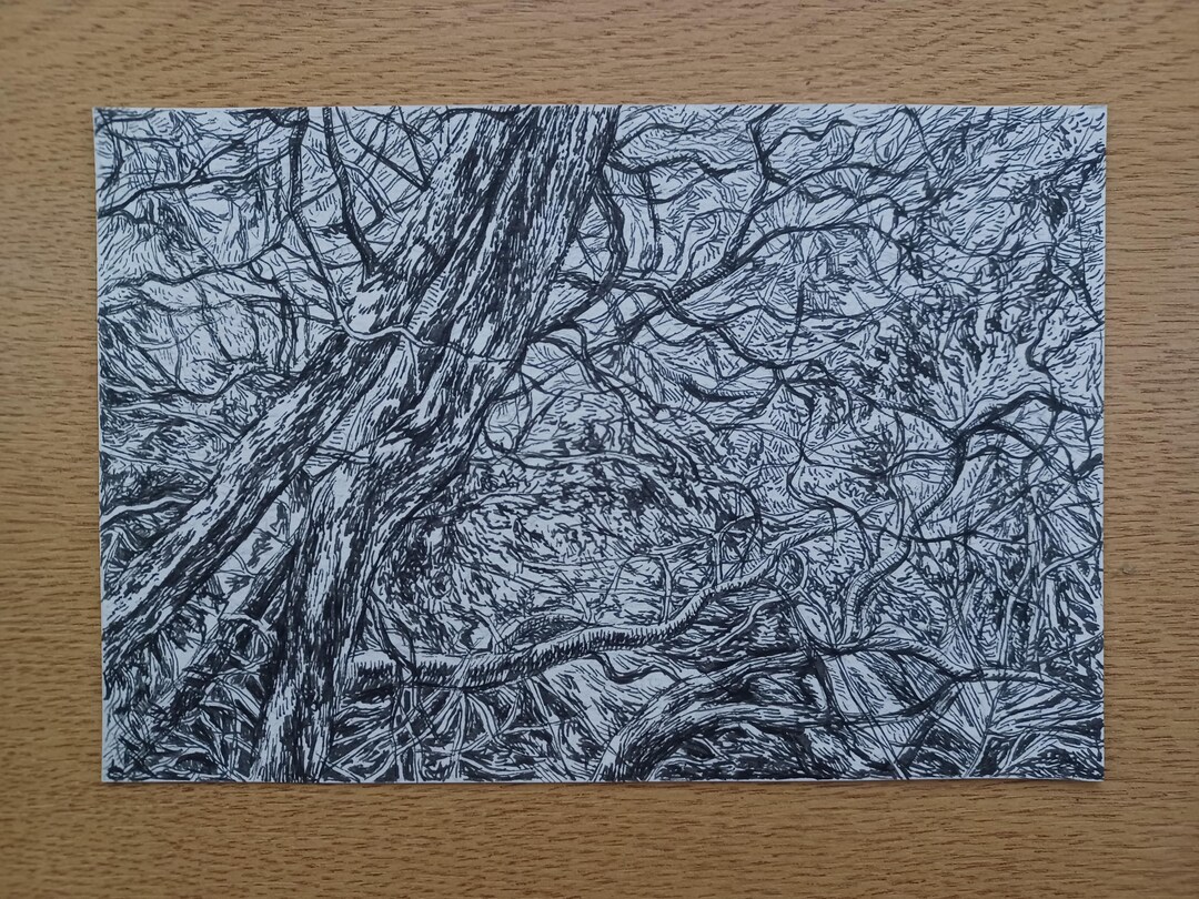 Original Landscape Drawing Using Fineliner Pen on Paper - Etsy