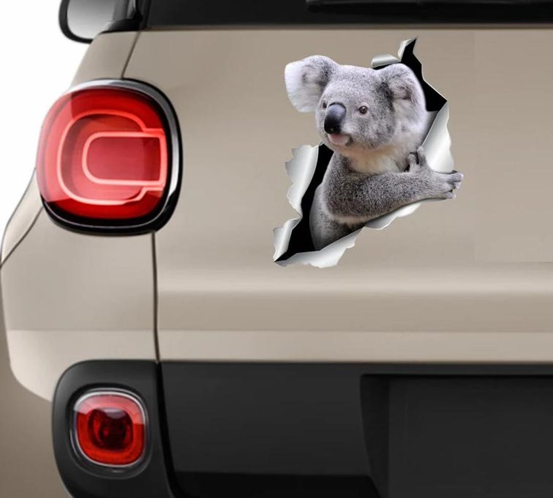 Car Sticker Koala Car Decal Animals Sticker Koala Decal Koala Sticker ...