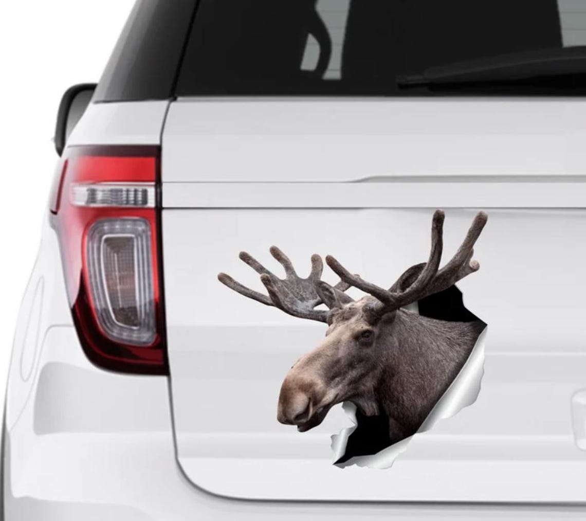 Elk Sticker Elk Decal Auto Sticker Elk Car Sticker Funny Car Decal ...