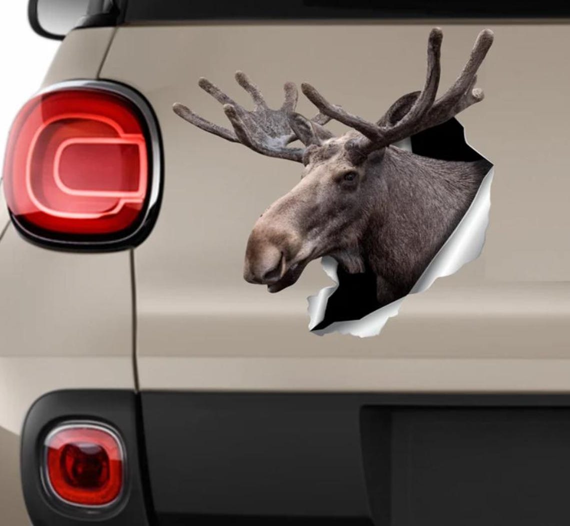 Elk Sticker Elk Decal Auto Sticker Elk Car Sticker Funny Car Decal ...