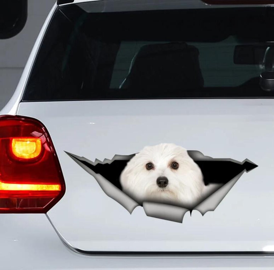 Coton De Tulear Decal Sticker Animal Decal Stickers 3D Funny Car Decal ...