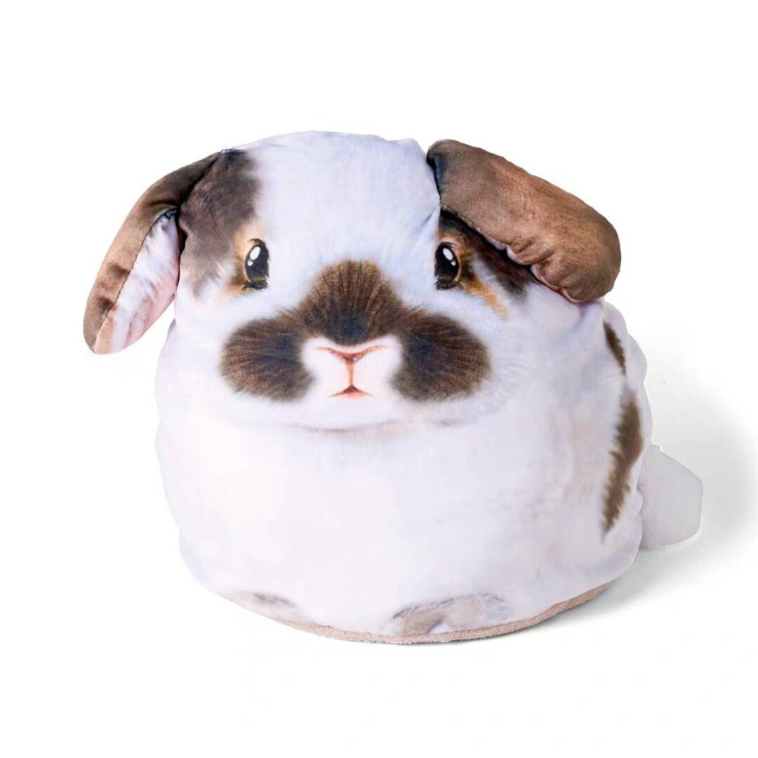 Himalayan Rabbit Netherland Dwarf Rabbit Cushion Cute Kawaii Japan ...
