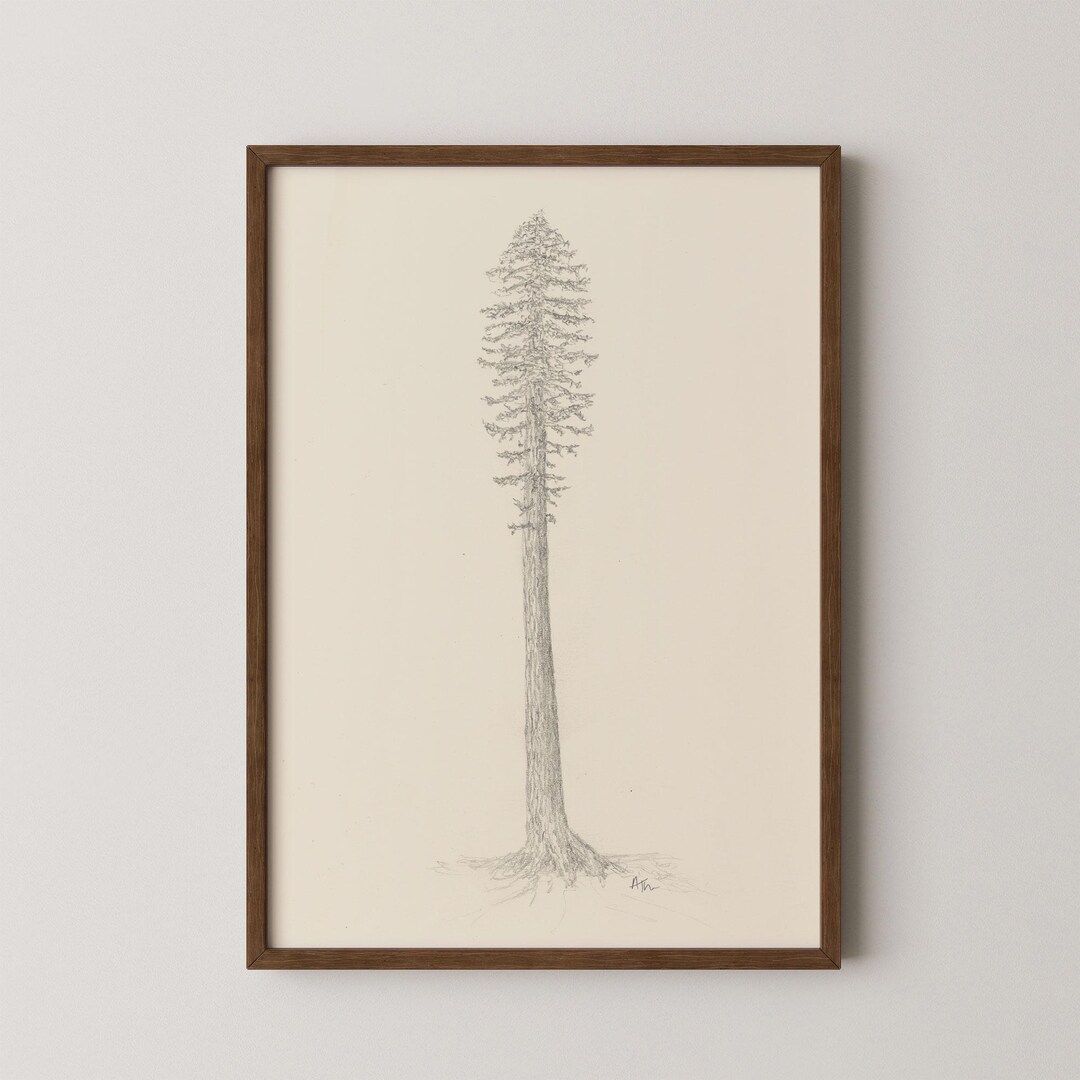Evergreen Tree Sketch No. 4 | Original Hand Drawn Tree Sketch | Neutral ...