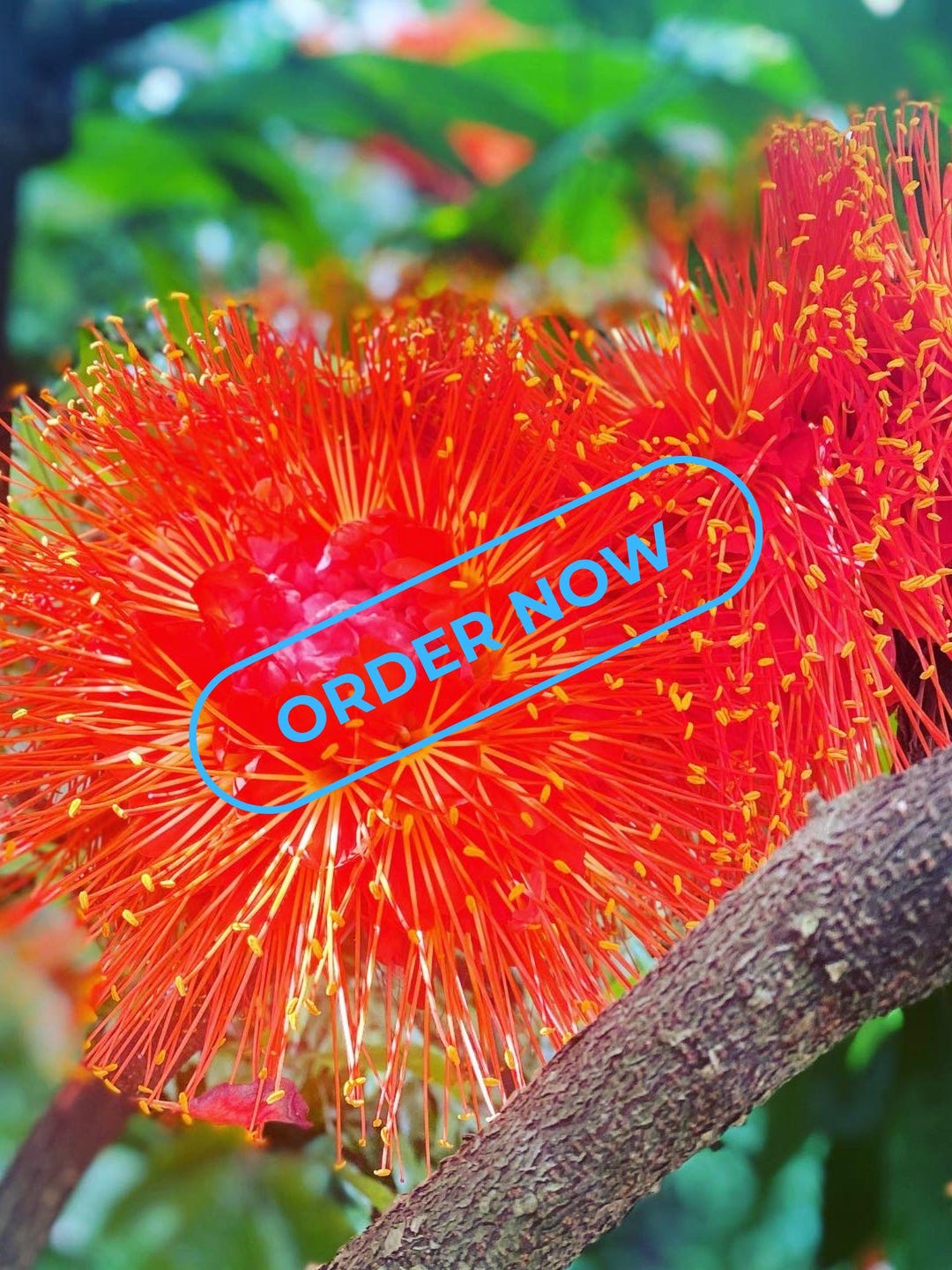 70 Vibrant Florida Digital Art Prints – South Beach, Wynwood, Key West ...