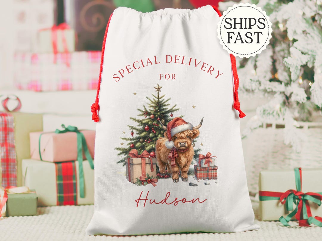 Special Delivery Santa Sack, Custom Special Delivery for Boy Santa Gift ...