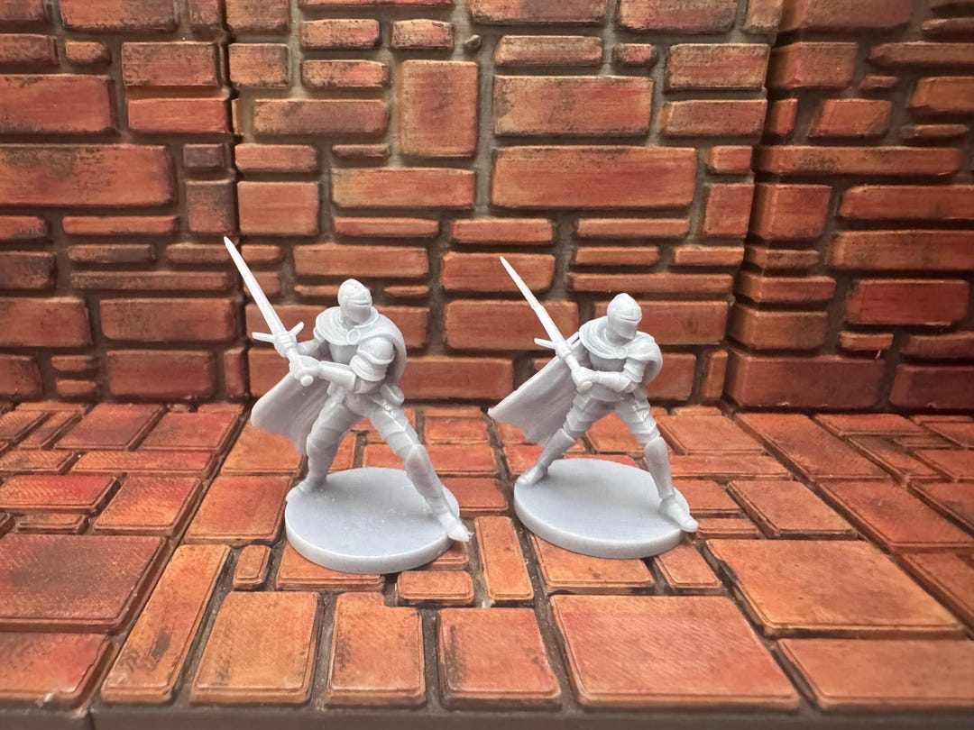 Knight I Male I Female, 28mm Miniature for D&D, Pathfinder and Other ...