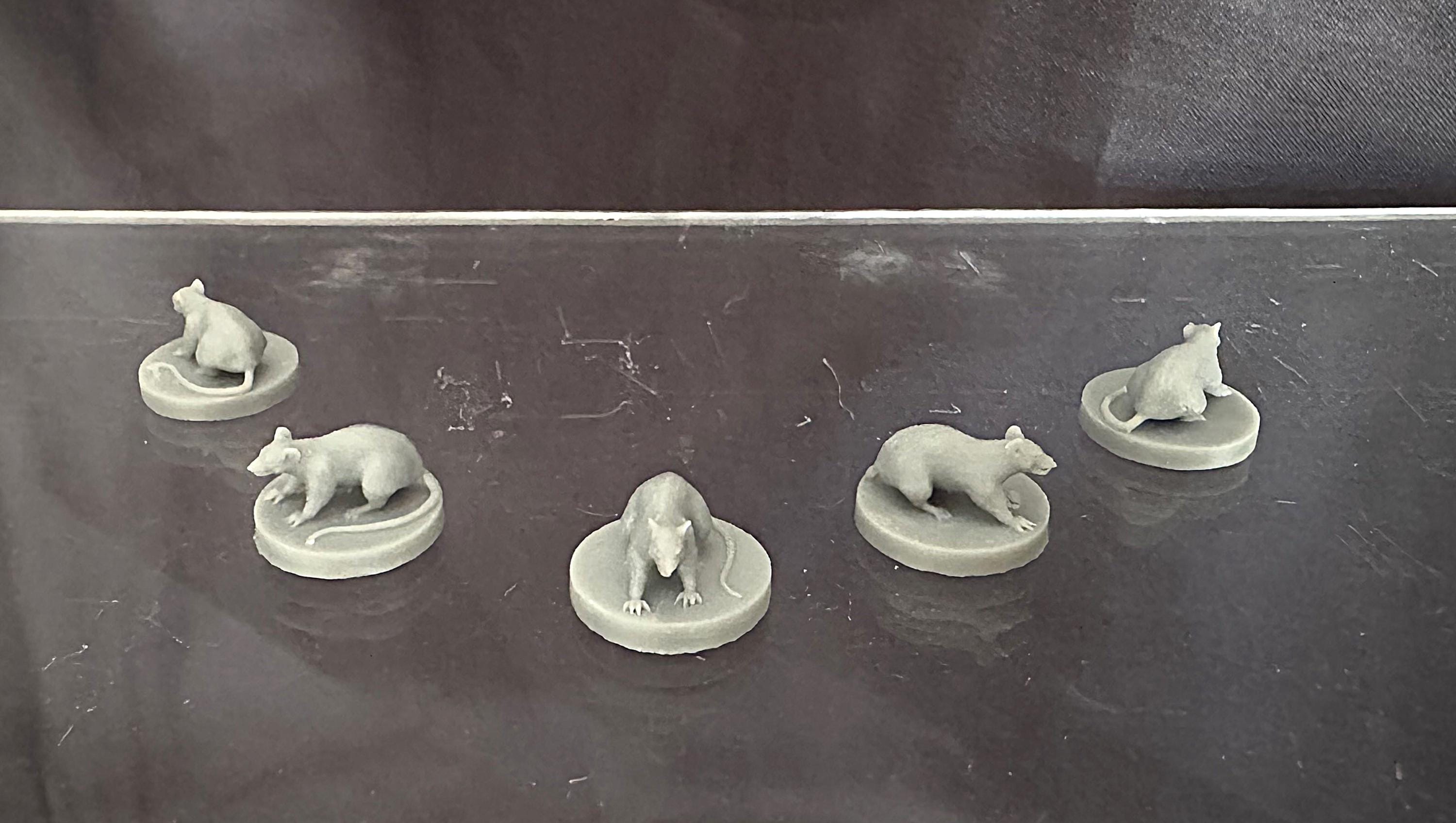 Rat 28mm Miniature for Dnd, Pathfinder and Other Tabletop Games - Etsy