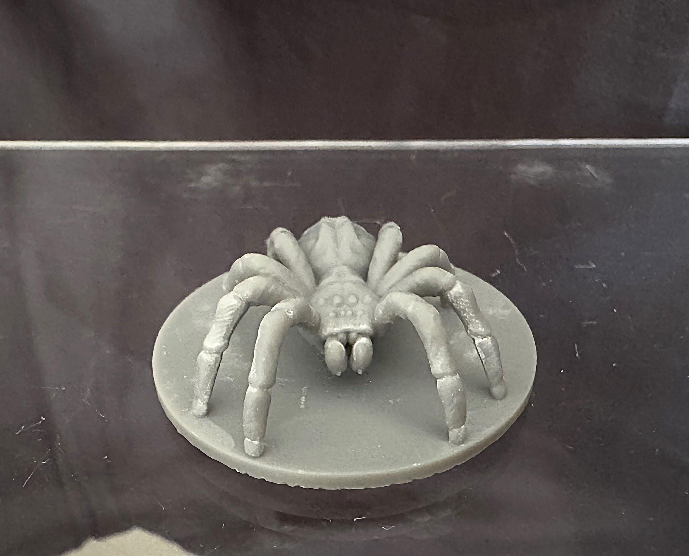 Giant Spider 28mm Miniature for Dnd, Pathfinder and Other Tabletop ...