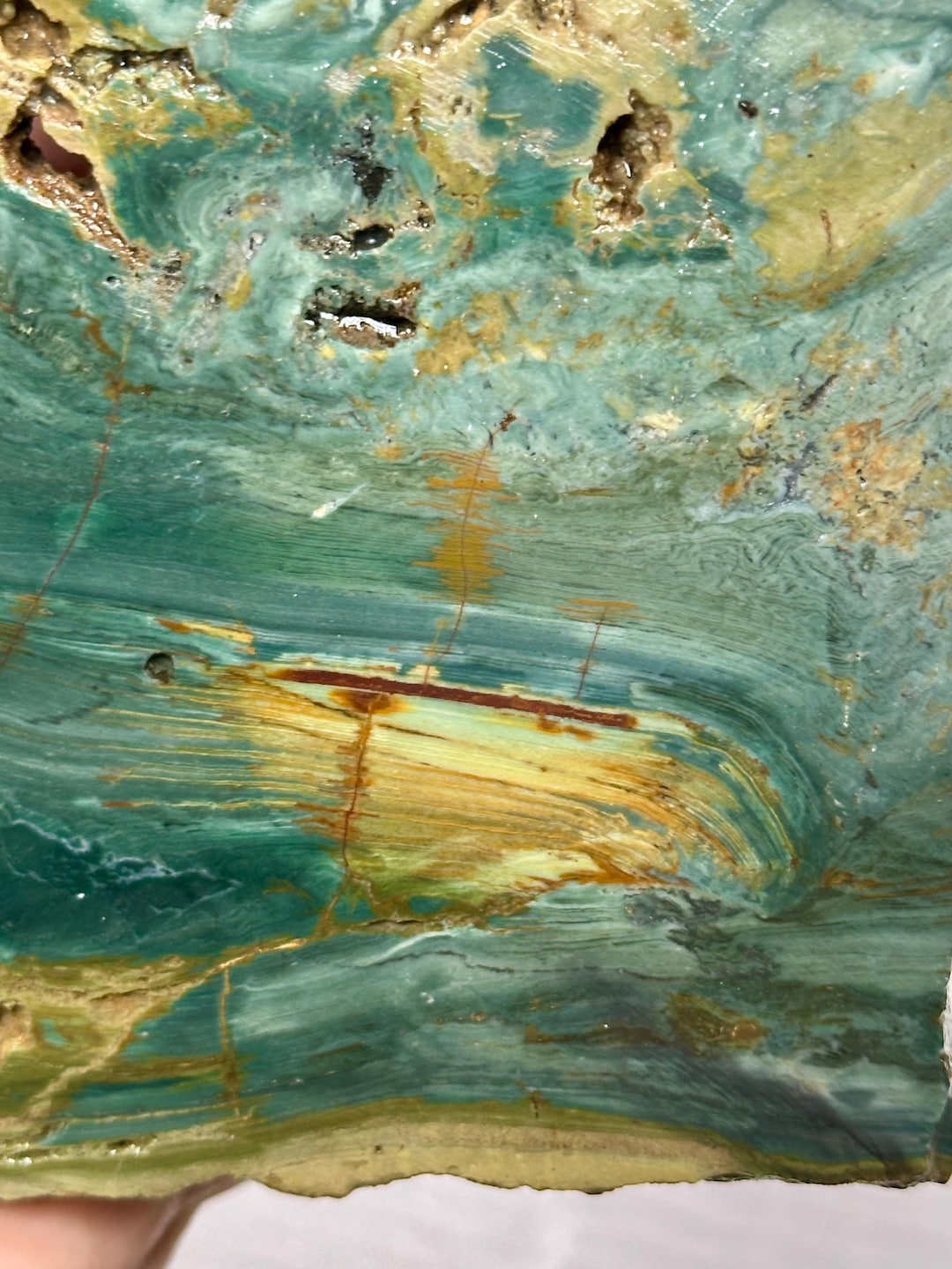 Mcdermitt Oregon Petrified Bogwood Larsonite Jasper Slab - Etsy