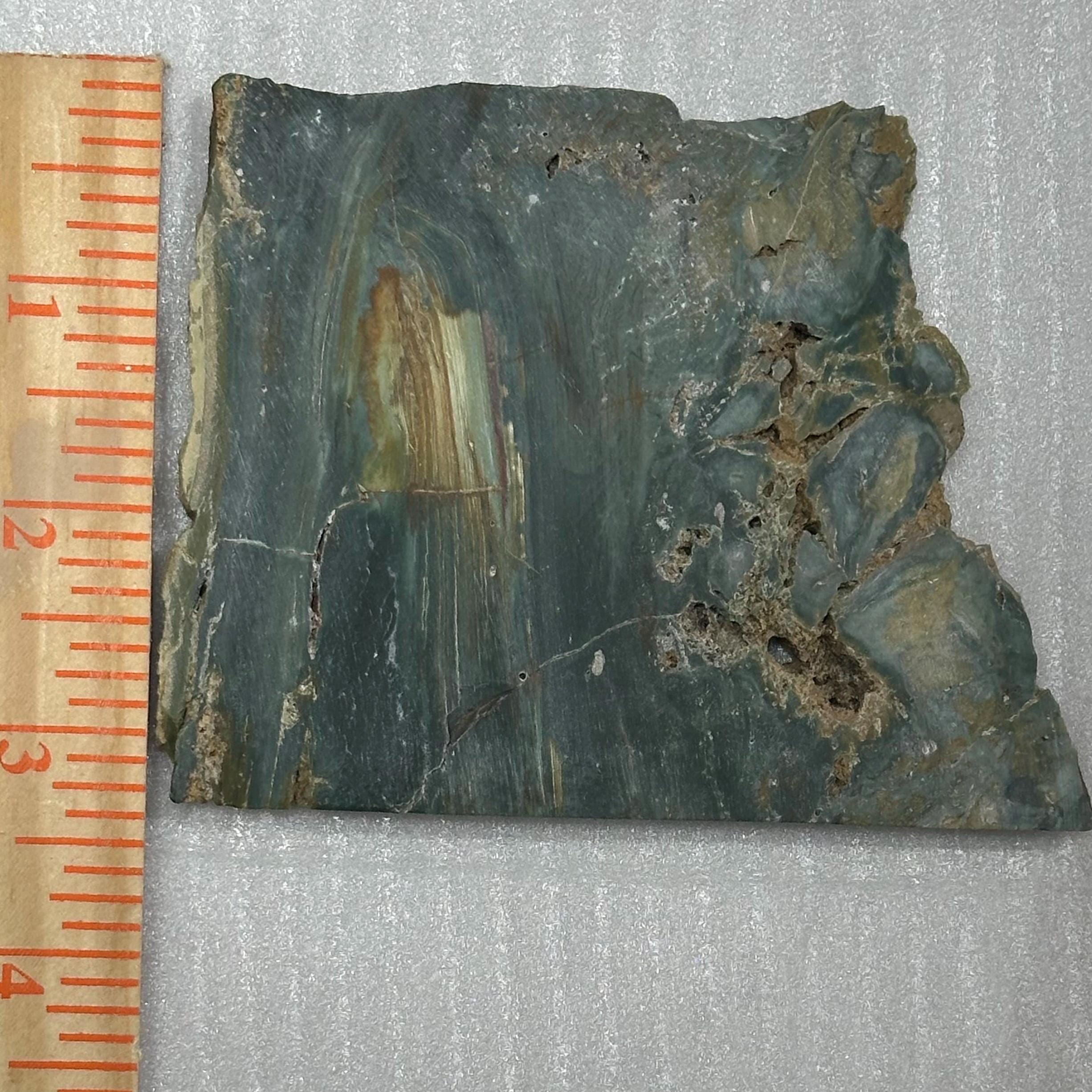 Mcdermitt Oregon Petrified Bogwood Larsonite Jasper Slab - Etsy
